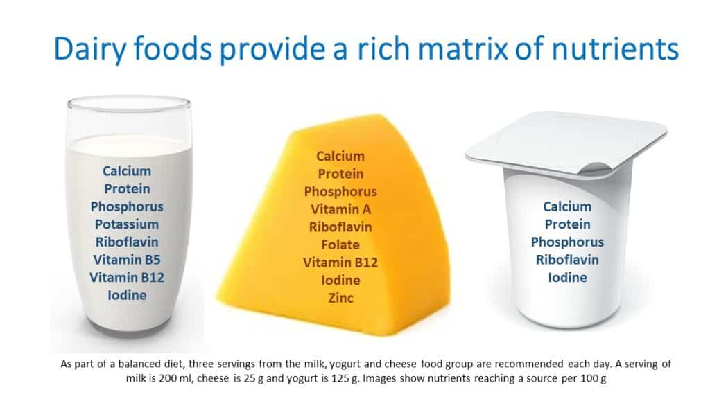 Real Talk About Nutrients In Milk & Dairy - National Dairy Council Ireland