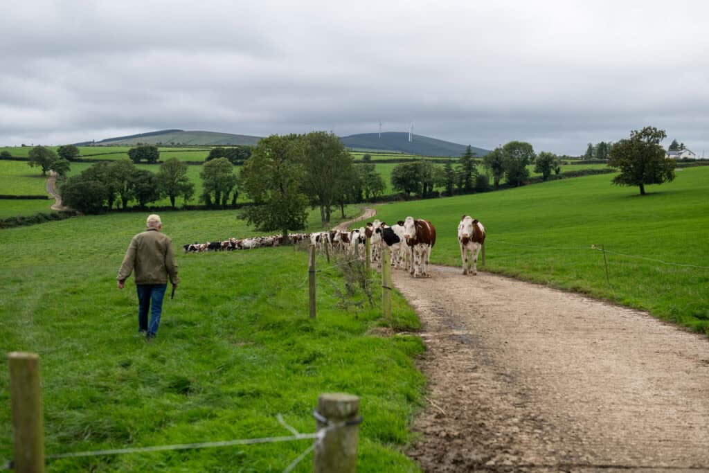 Real Talk About Nutrients In Milk & Dairy - National Dairy Council Ireland